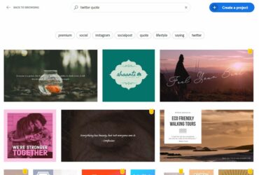 Canva vs Adobe Spark: Which is The Best?
