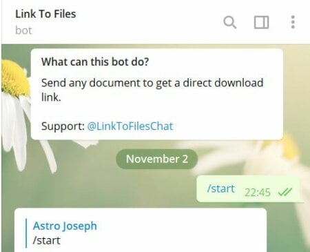How To Direct Download Telegram Files With A Download Manager