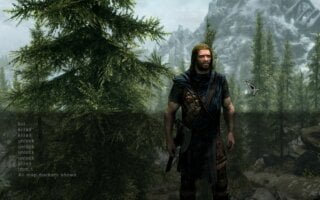 33 Best Skyrim Console Commands [2021]