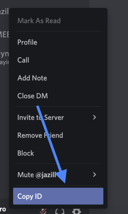 How to Find Your Discord User ID?