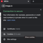Fix Your in browser storage for MEGA is full [4 Fixes]