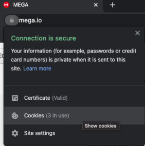 Fix Your in browser storage for MEGA is full [4 Fixes]