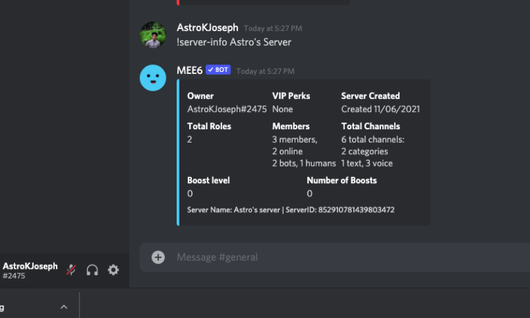 40 Best MEE6 Bot Commands List & How to Use Them? - 2024