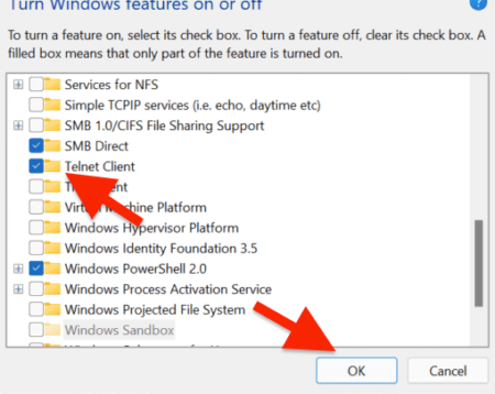 How to Enable Telnet Client in Windows 11 and Server 2024