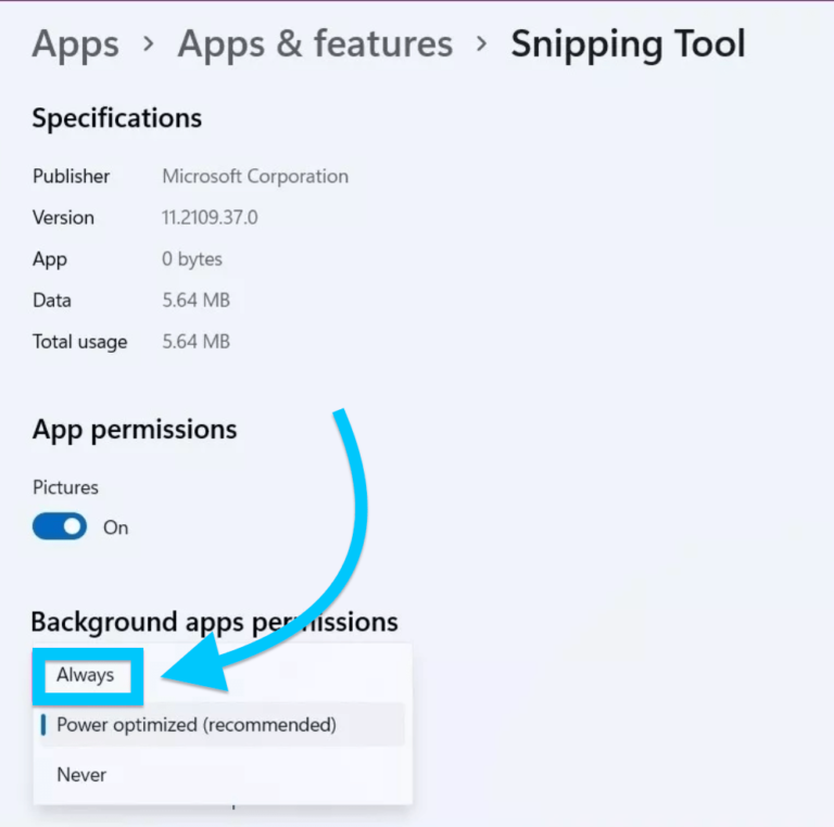 Snipping Tool Not Working: 7 Ways To Fix [Windows 11/10]
