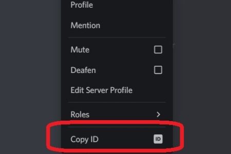 How To Send A Link To A Discord Profile